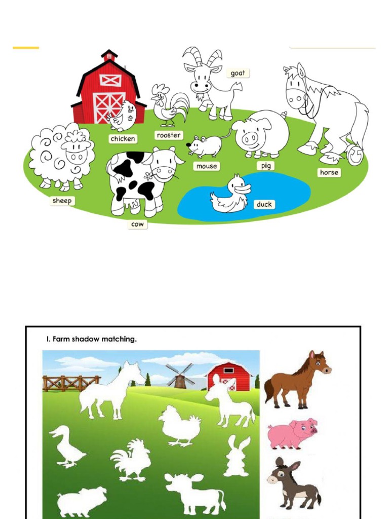 farm animals | PDF