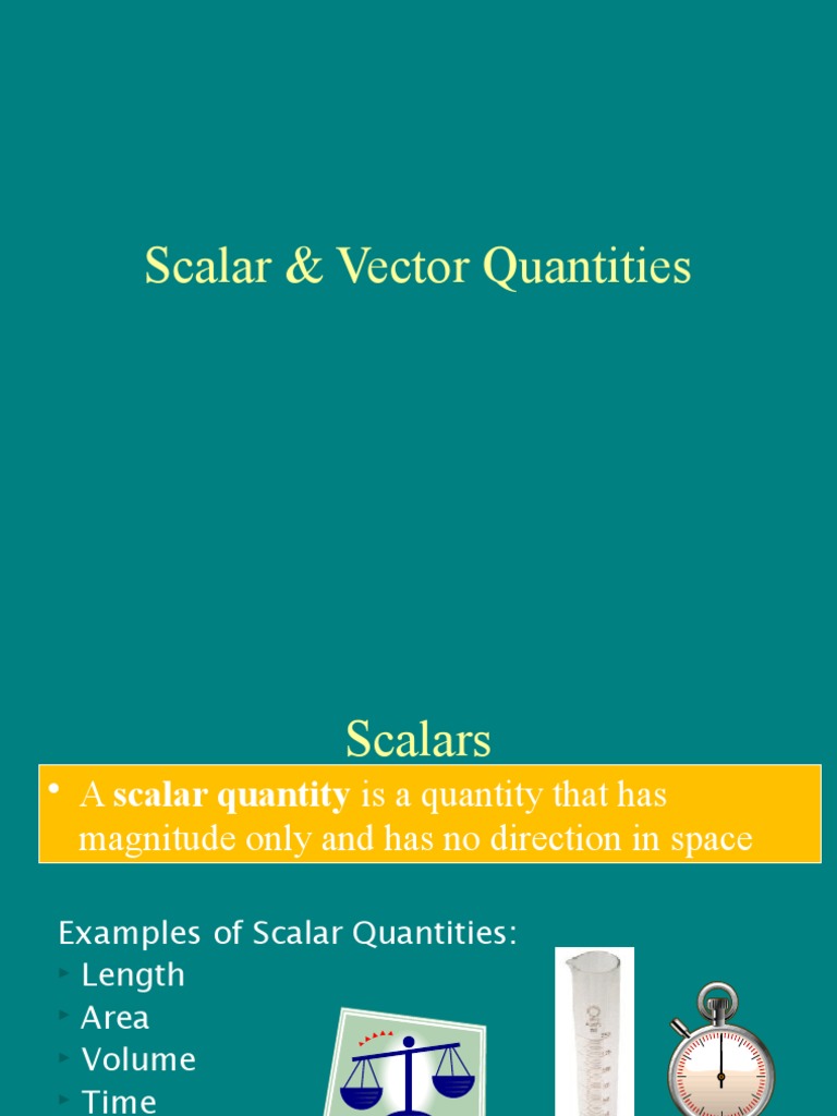 Vectors | PDF | Euclidean Vector | Mathematics