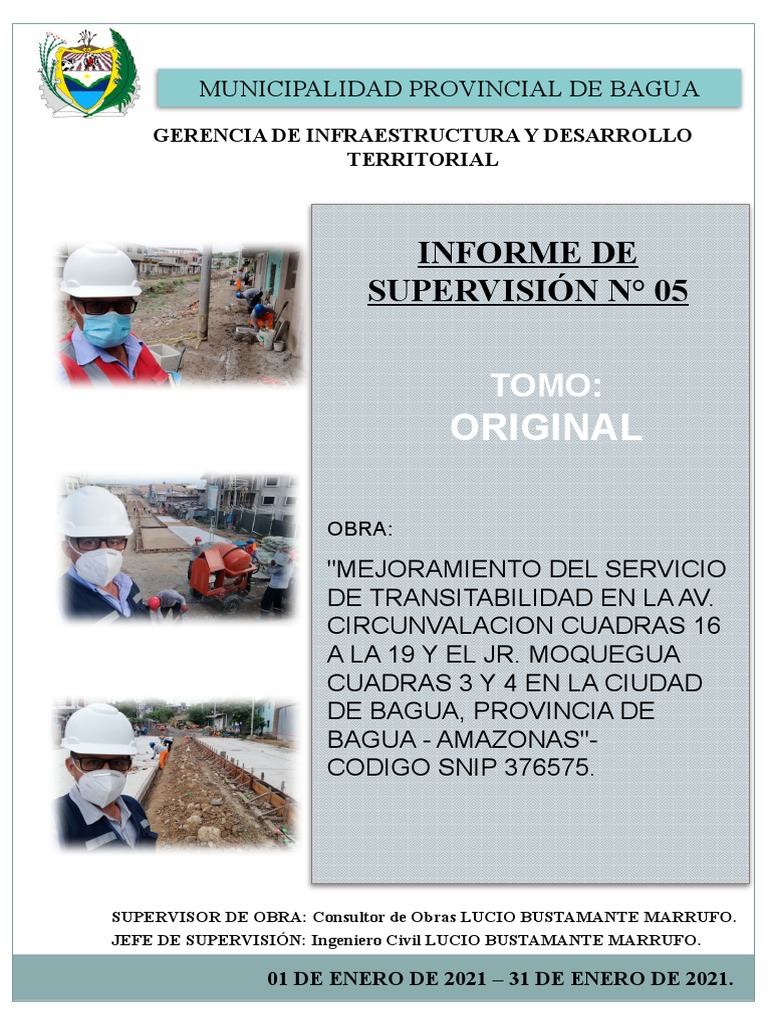 Carátula. Informe Mensual. Bagua. | PDF