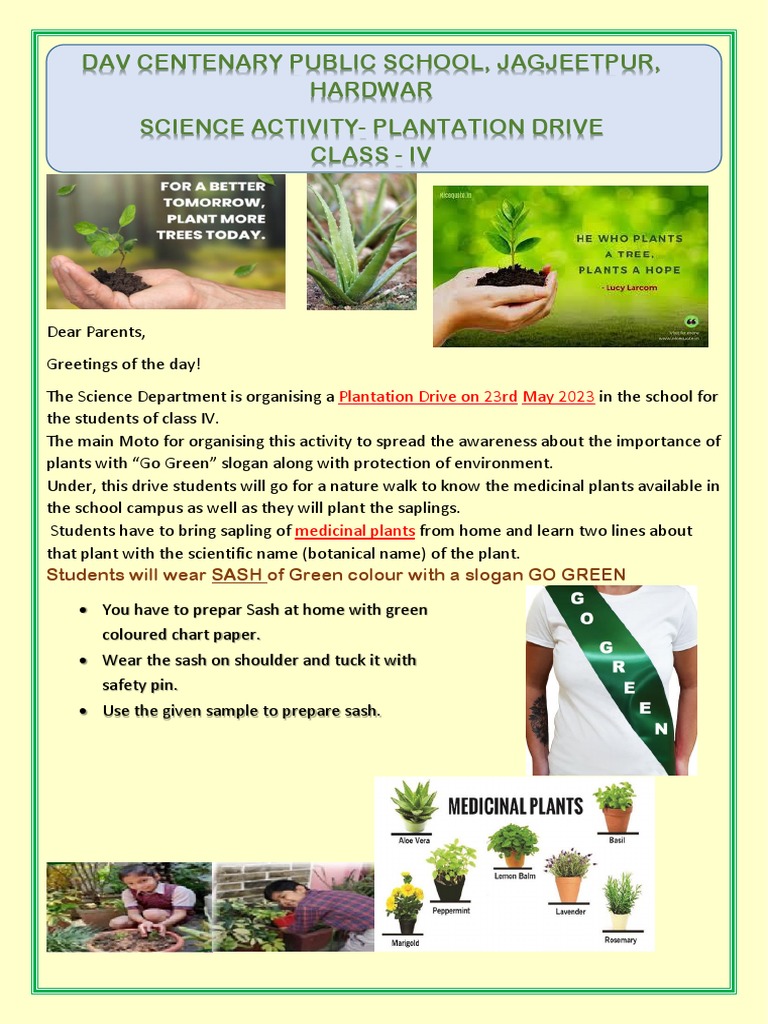 Plantation Drive Activity For Class IV 2023-24. | PDF