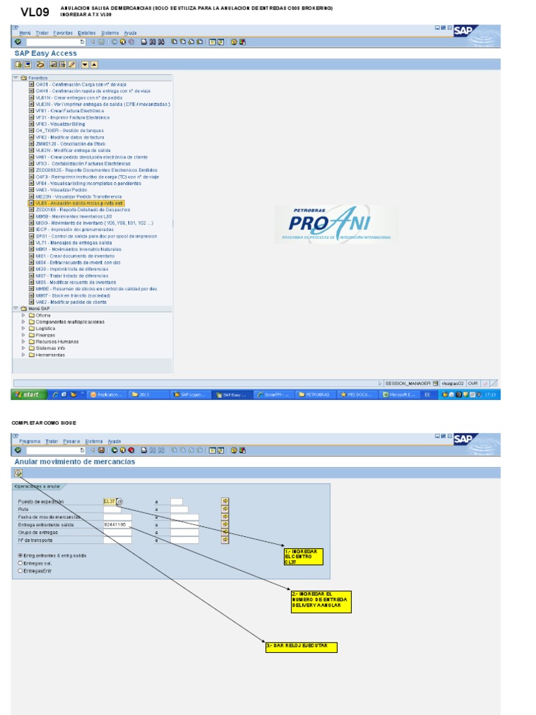 VL09 Anulacion Salida Mercancias | PDF