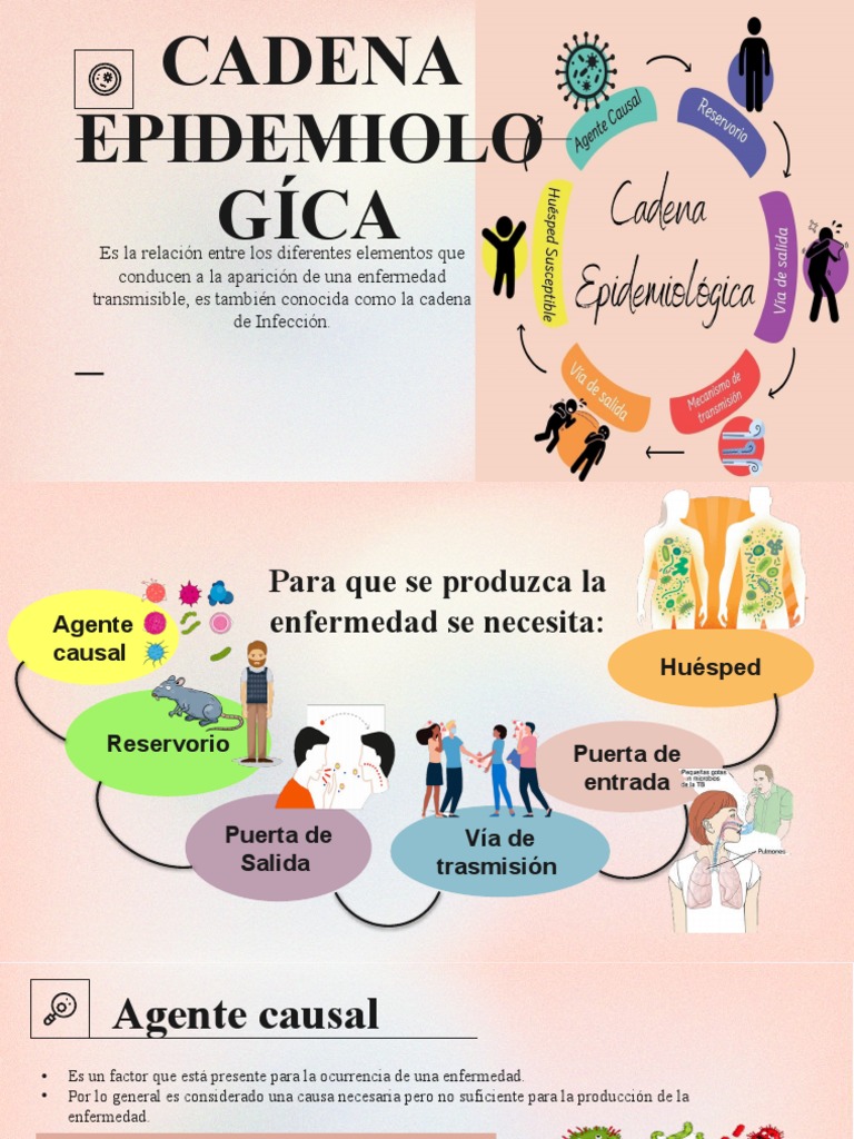 Cadena Epidemiologica | PDF | Infección | Epidemiología