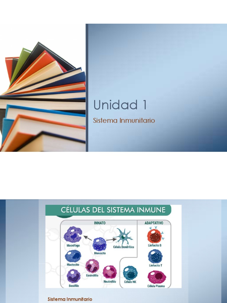 Introducción al Sistema Inmunitario | PDF | Sistema inmune | Célula T