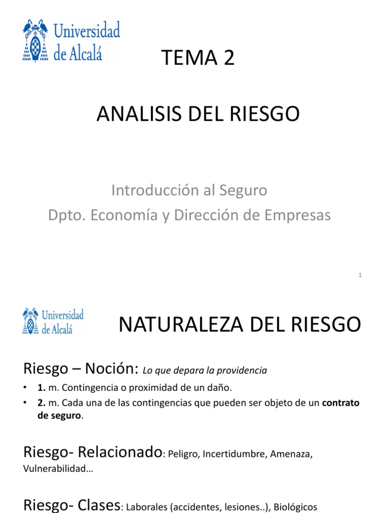 Tema 2 Analisis Del Riesgo | PDF | Riesgo | Reaseguro