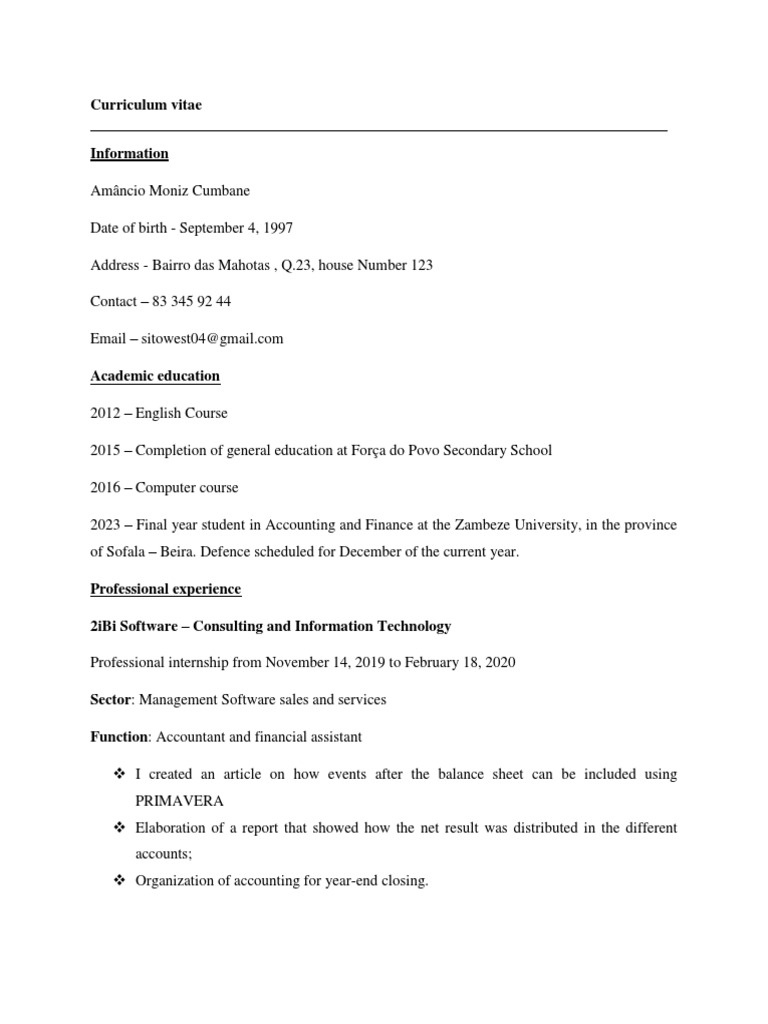 Curriculum Vitae - 2023 English PDF | PDF | Accounting | Microsoft Excel