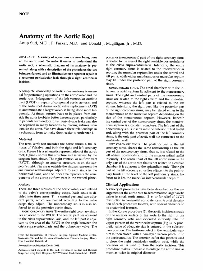 Aortic Root Anatomy and Surgical Insights | PDF