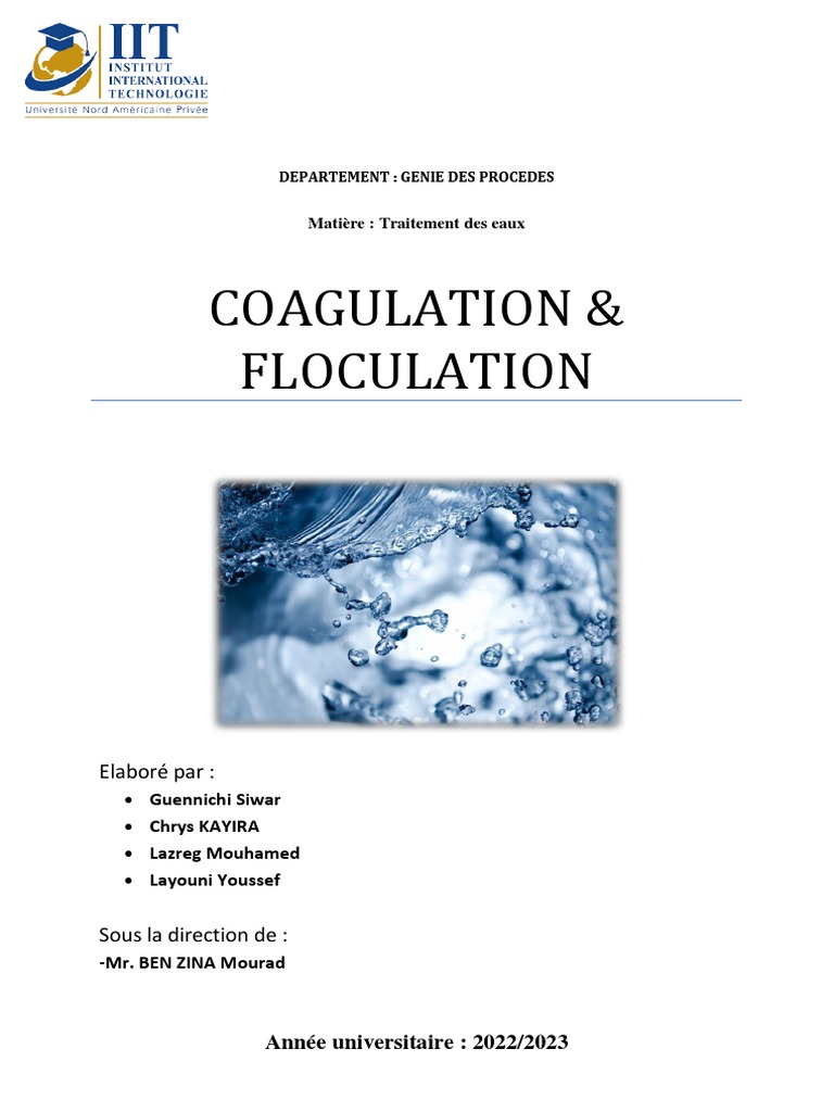 Rapport Coagulation & Floculation | PDF