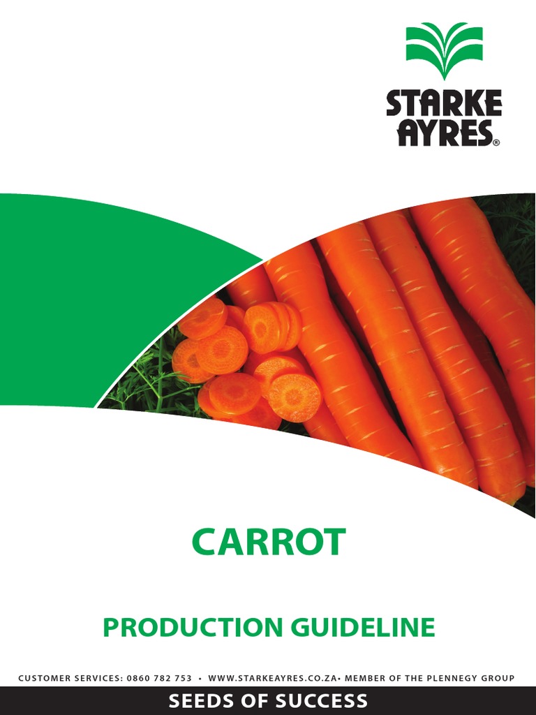 Carrot Production Guide | PDF | Fertilizer | Carrot
