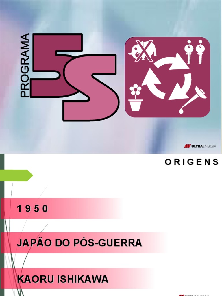 Treinamento 5S | PDF | Higiene