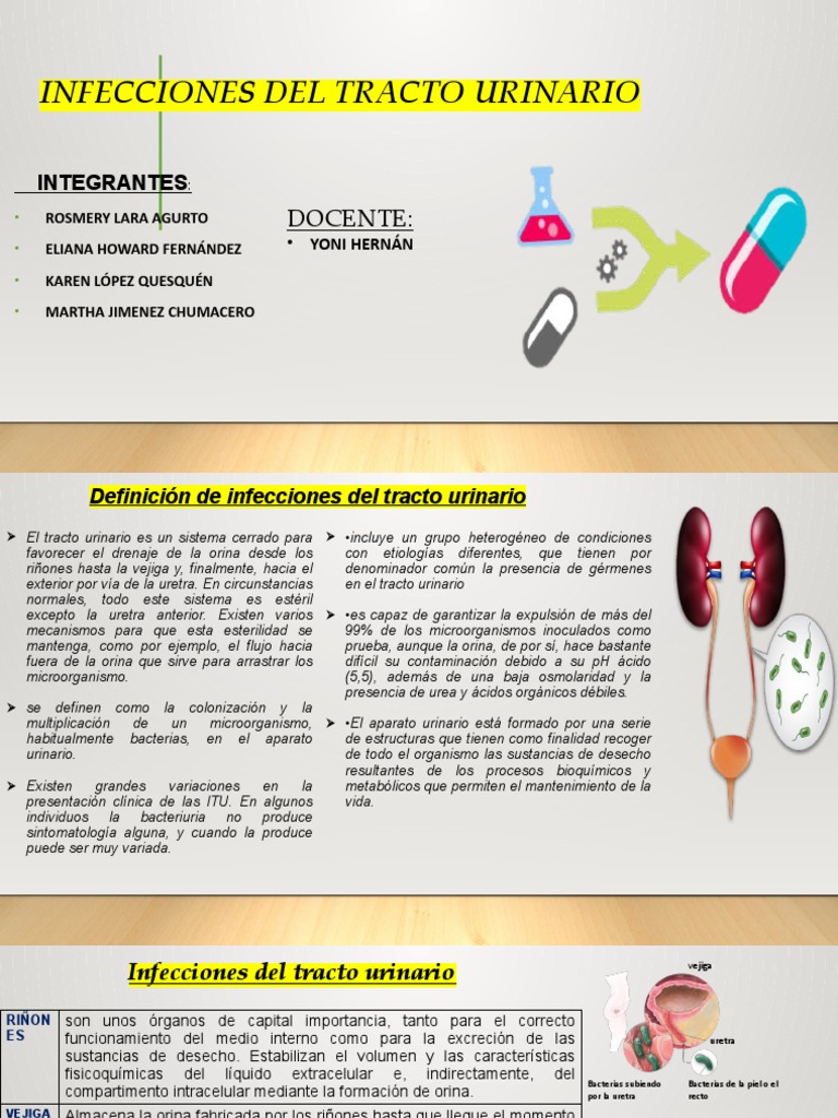 Infecciones Del Tracto Urinario. | PDF | Sistema urinario | Vejiga urinaria