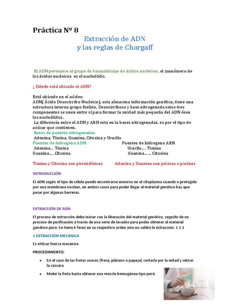 Biología Práctica #8 - Extracción de ADN y Las Reglas de Chargaff | PDF