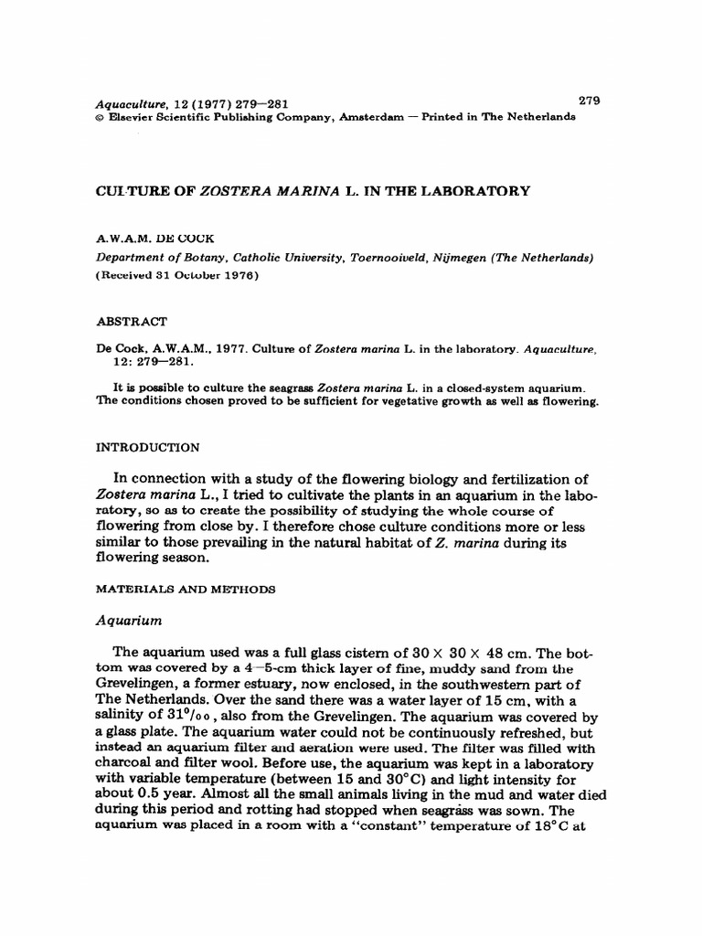 Lab Cultivation of Zostera Marina | PDF | Seed | Seedling