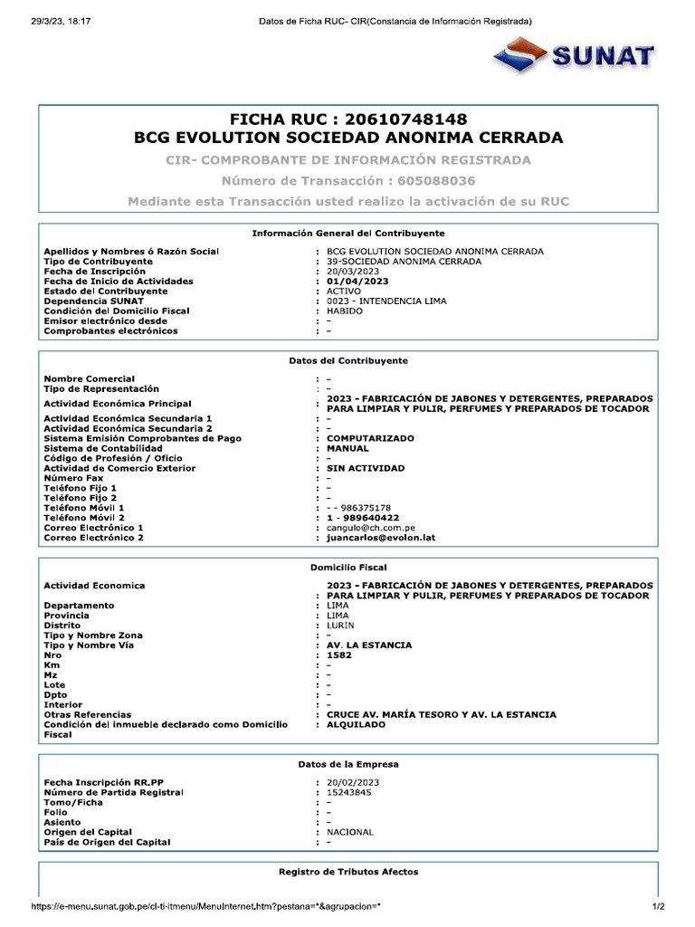 Ficha Ruc BCG Evolution Sac | PDF
