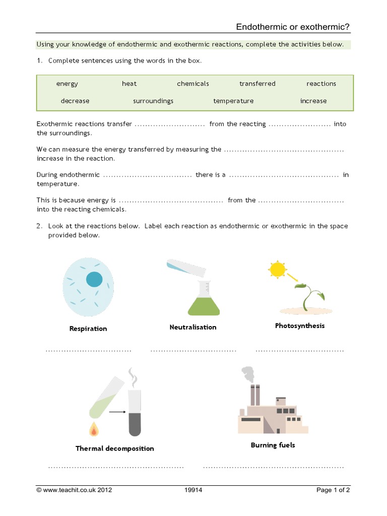 Exo and Endothermic Reactions | PDF