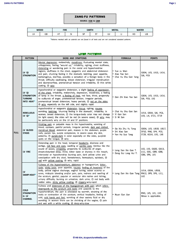 Zang-Fu Patterns Guide | PDF | Self-Improvement