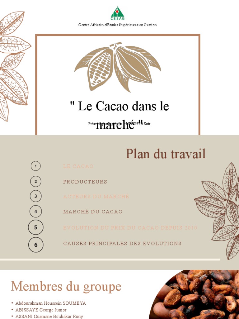 Marché mondial du cacao et tendances | PDF | Solides de cacao | Chocolat