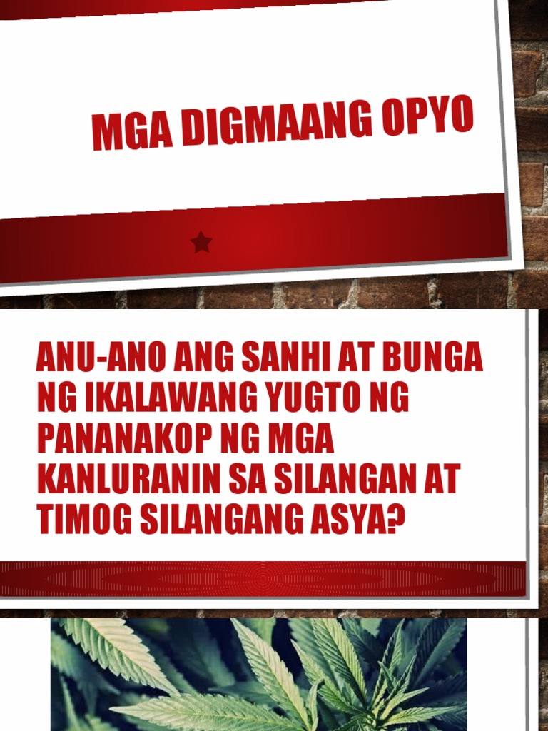 digmaang opyo ppt | PDF