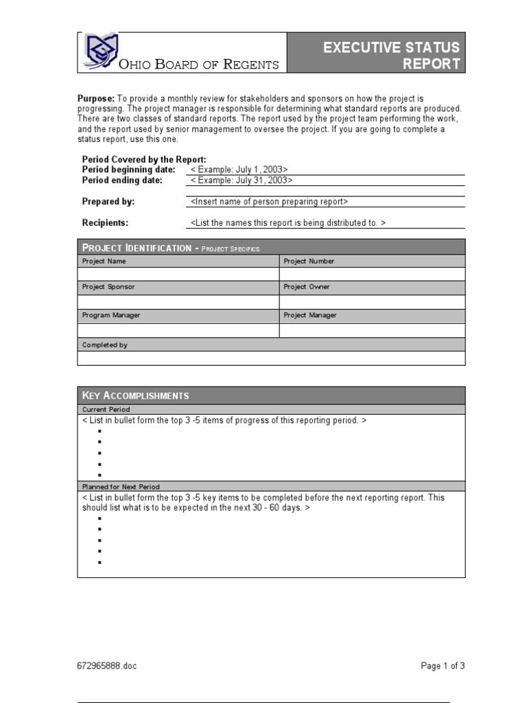 Executive Status Report Template | PDF