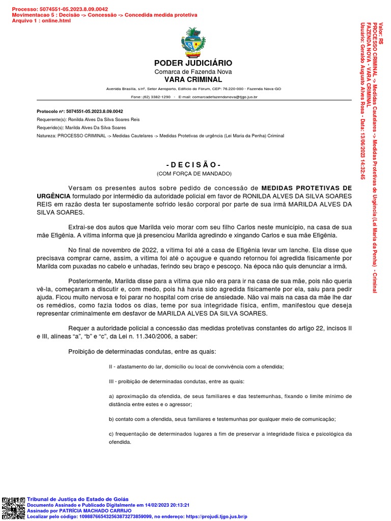 Modelo Medida Protetiva - Patrícia Carrijo | PDF