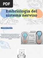 Digestión: Bolo, Quimo y Quilo | PDF | Digestión | Tracto gastrointestinal