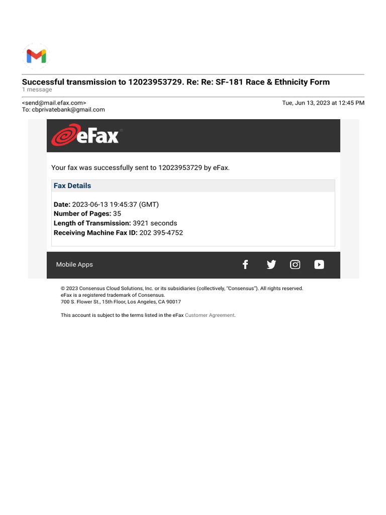 SF-181 Race & Ethnicity Codes Form | PDF | Fax | Communication