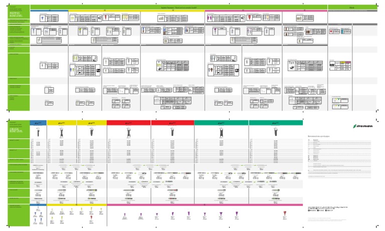 Who Is Who Bone Level Straumann Chile 1018 | PDF | Ramas de Odontología ...