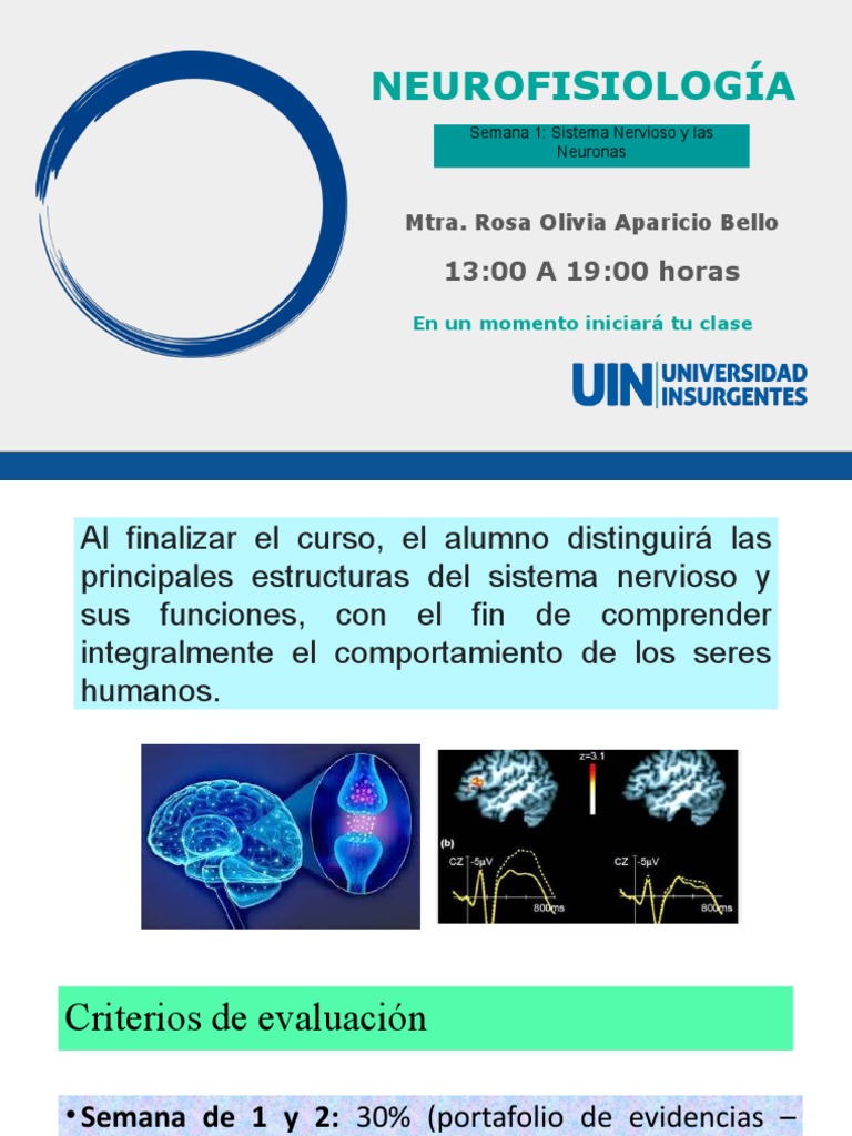 Presentación neurofisiología | PDF