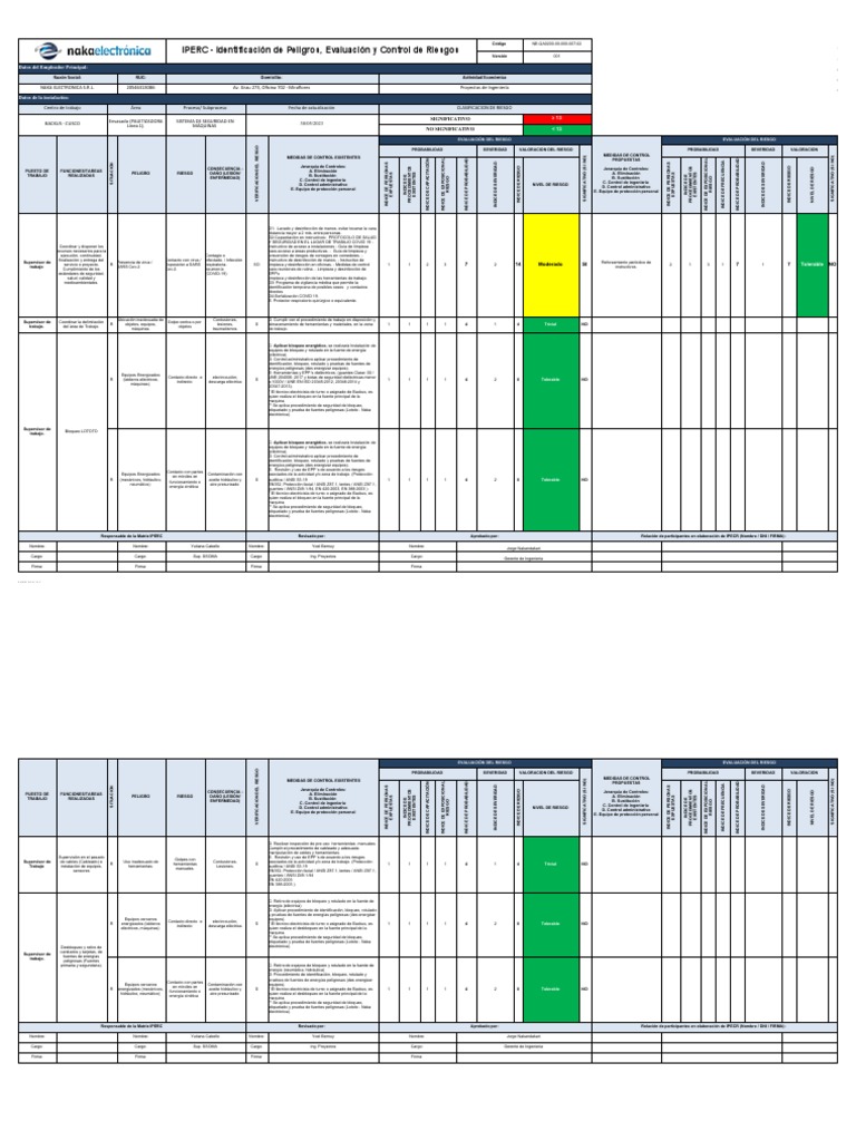 Iperc - Covid19 - Paletizadora l1 Sup. de Trabajo | PDF