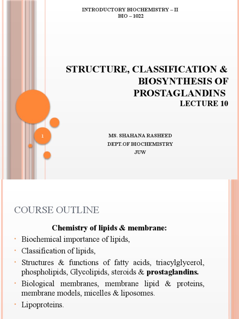 l10 Structure, Classification Biosynthesis of Prostaglandins | PDF ...