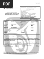 Formato Incapacidad Imss Editable Word | PDF