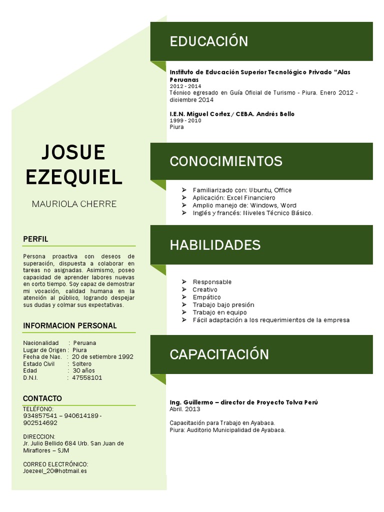 CV Josue | PDF