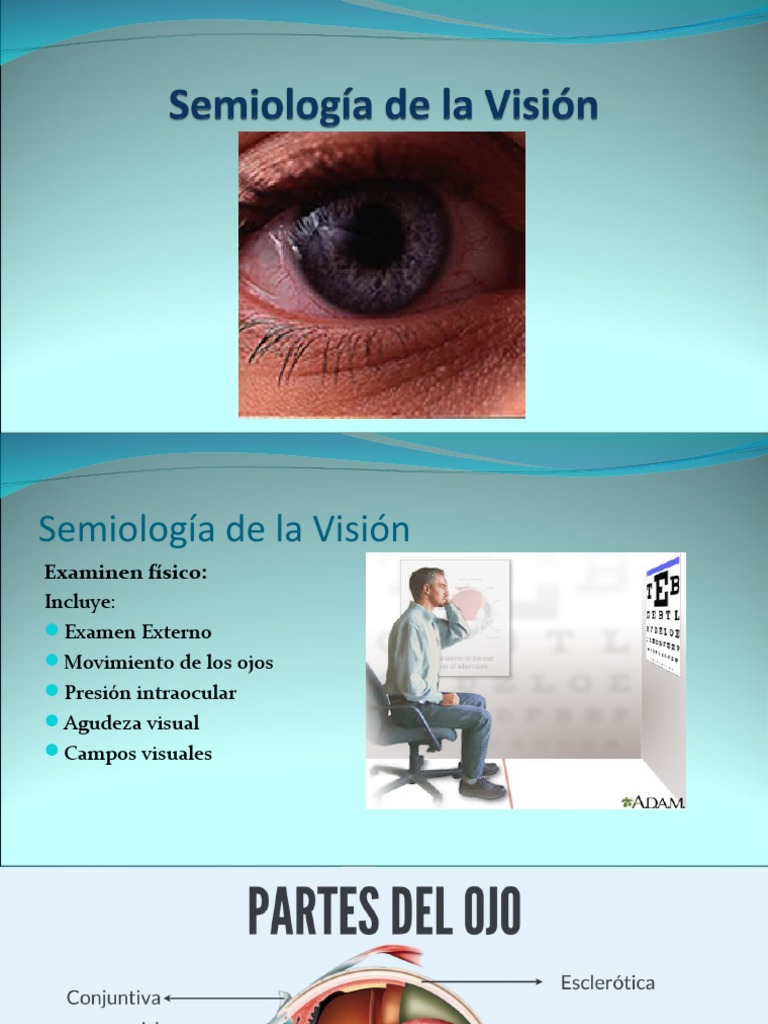 Semiologia de La Vision | PDF | Ojo humano | Percepción visual