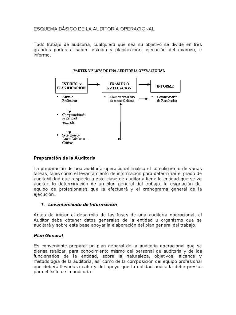 Esquema Básico de La Auditoría Operacional | PDF | Auditoría | Contralor