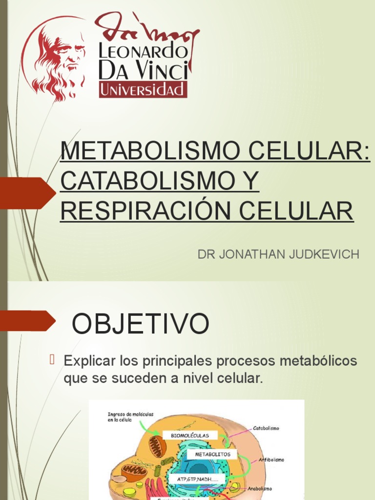 Metabolismo Celular: Catabolismo y Energía | PDF | Respiración celular ...
