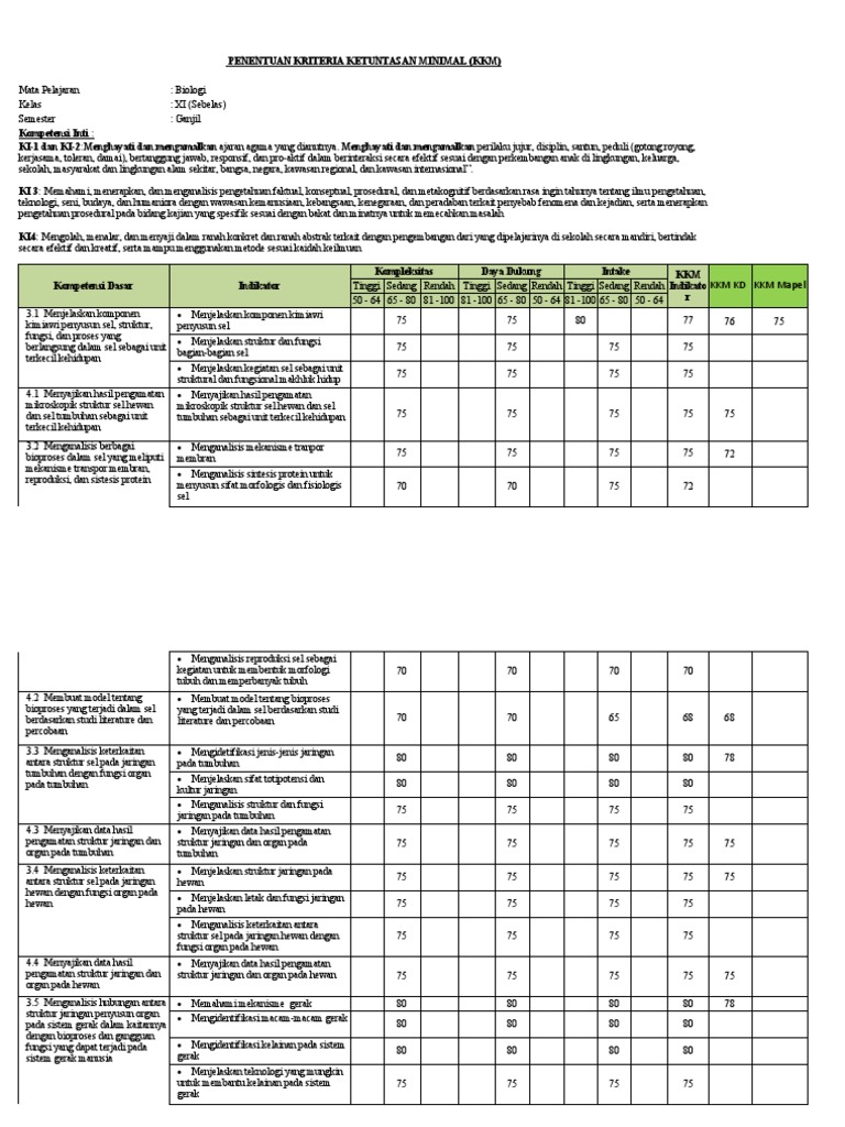 Format KKM Excel | PDF