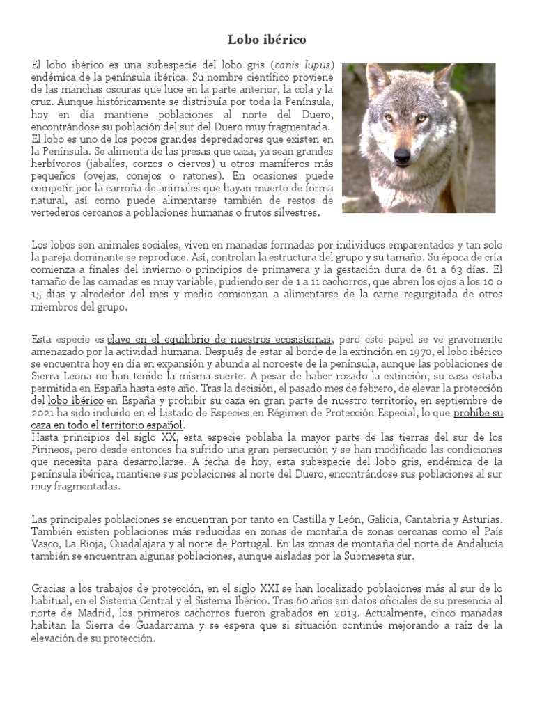Lobo Iberico | PDF | Ciencias sociales | Viajes