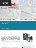 Clasificación de Carl Misch Dianelsty | PDF