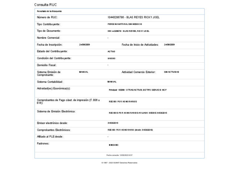 Sunat - Consulta Ruc | PDF