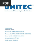 Formato St4 Imss Extjs | PDF | Derecho