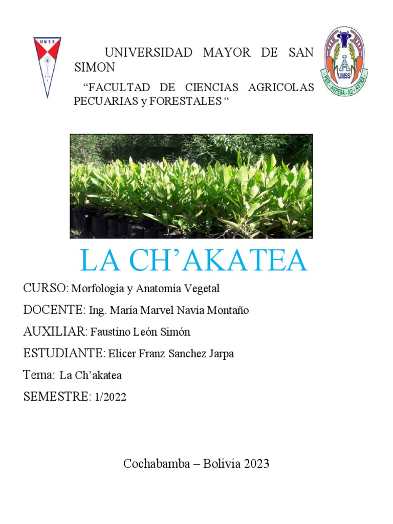 Informe de La Chaca Tea | PDF | Ciencia y matemáticas