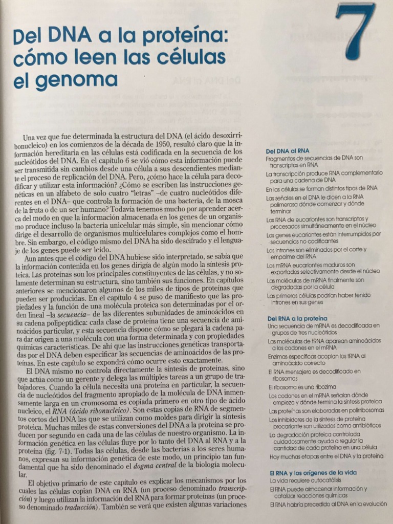 Copia de Cap 7 - Del ADN A La Proteina Introduccion A La Biologia ...