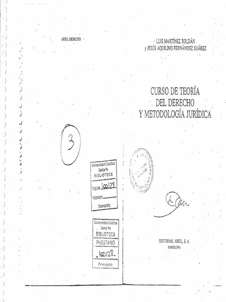 Libro Martinez Roldan | PDF