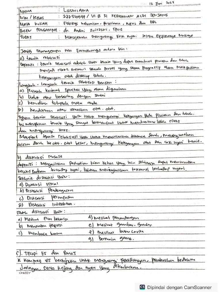 Lusmiana 22251094P, Tgs Dokter Andini | PDF