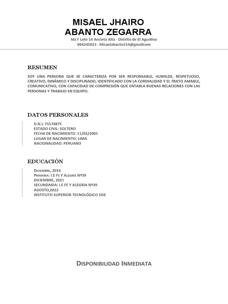 Curriculum-Misael Abanto Zegarra | PDF