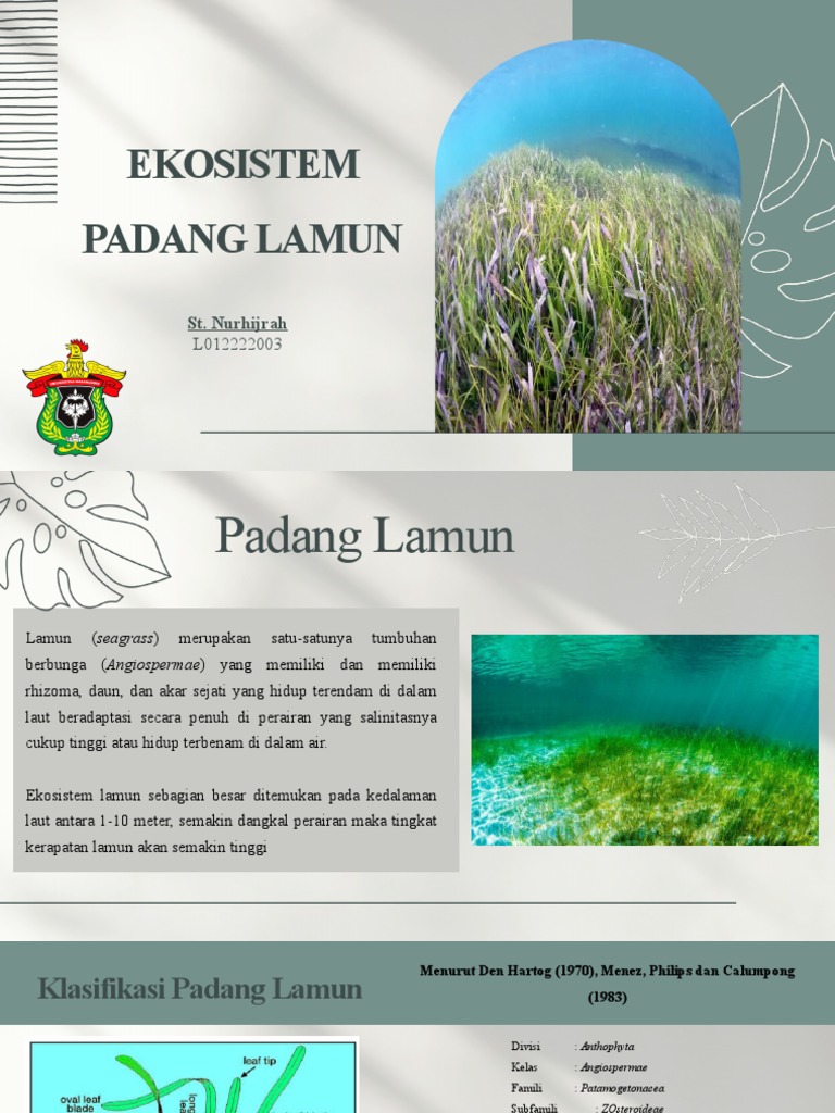 Ekosistem dan Manfaat Padang Lamun | PDF