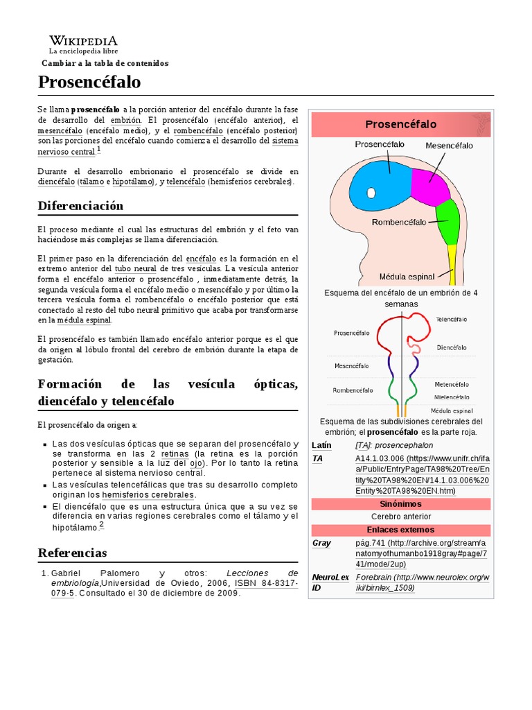 Prosencéfalo Mesencéfalo Rombencéfalo