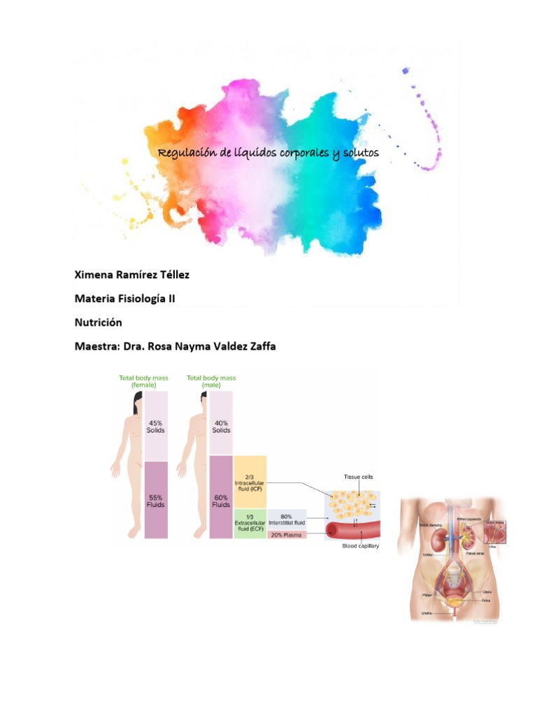 Regulación De Líquidos Corporales Pdf