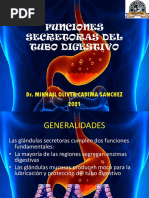 Ficha Técnica Quantrel | PDF | Medicamentos con receta | El embarazo