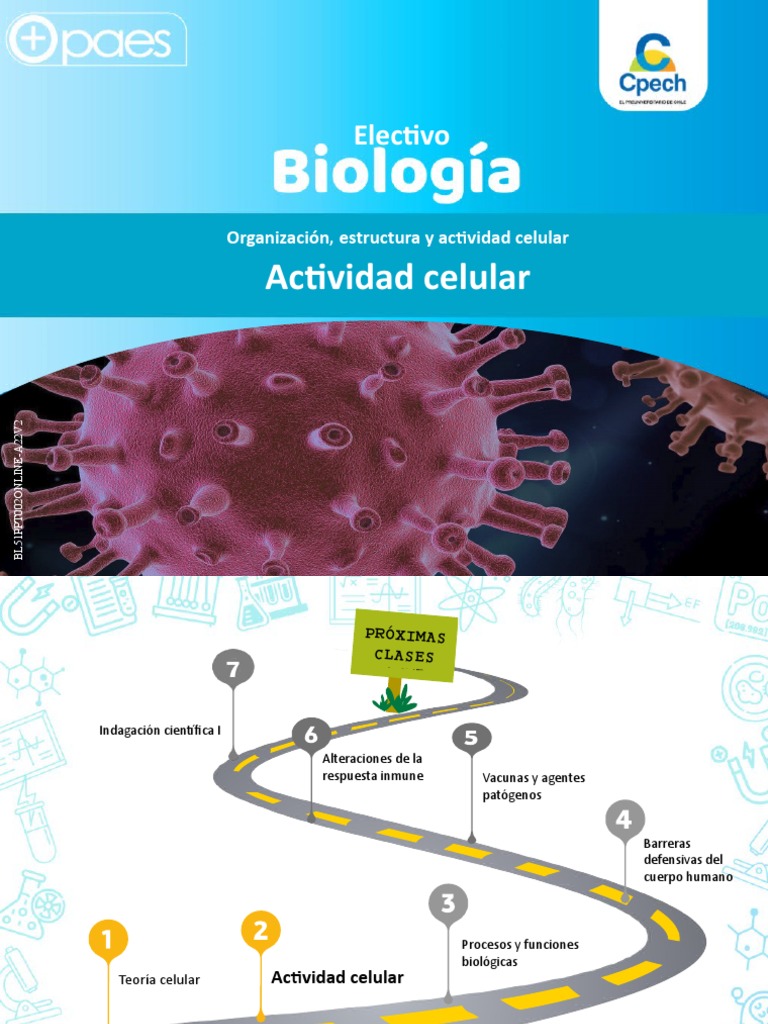 Actividad Celular | PDF | Biología Celular) | Citoplasma