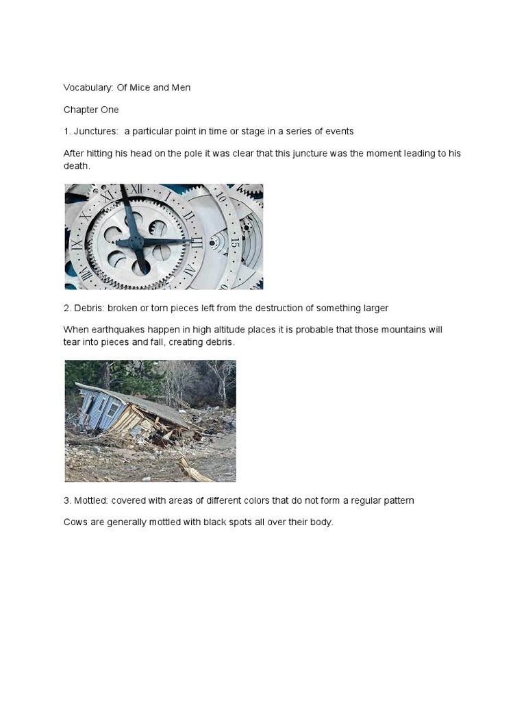 Vocabulary - of Mice and Men | PDF